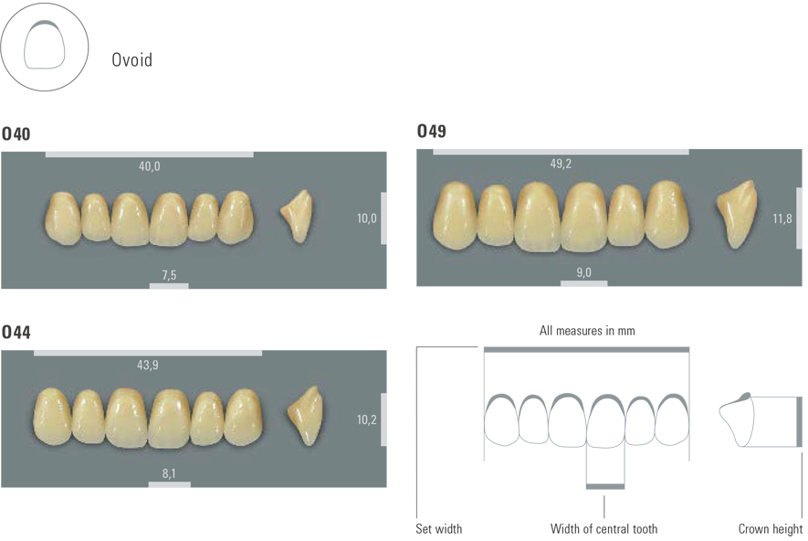 Classical Shades - MFT - Teeth - Laboratory - Henry Schein Australian ...