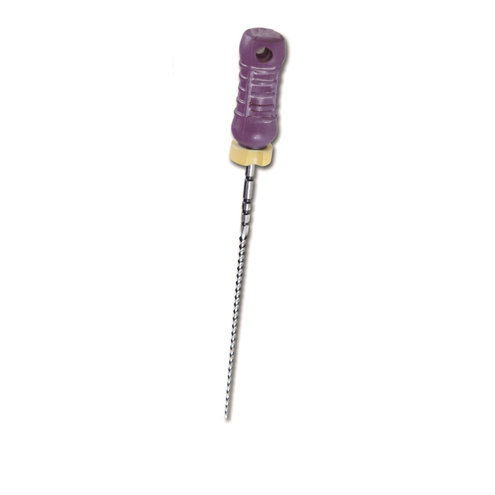 BE-632110 - K File 21mm Size 10 Purple Pack of 6 - Henry Schein ...